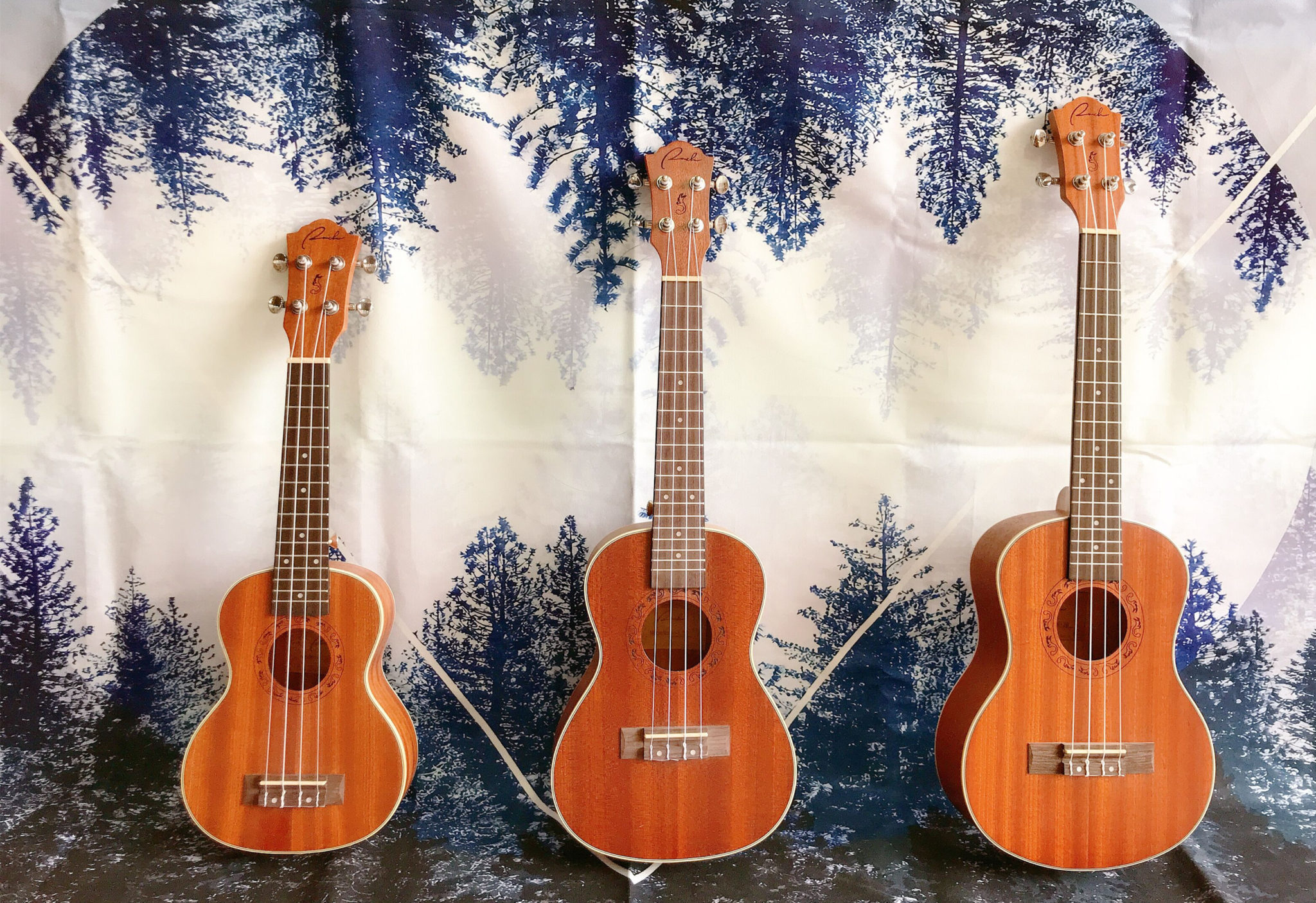 #post_titleConcert Ukulele Ranch 23 inch Professional Wooden ukelele ...